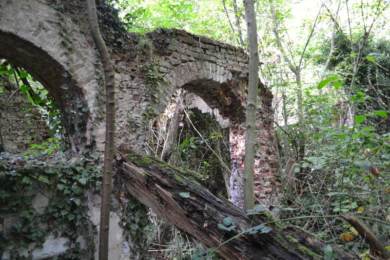 Arch ruin stock image. Image of forest, house, abandoned - 44263003