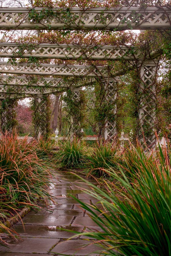 Rose Arch in the English Style Botanic Garden Stock Image - Image of ...
