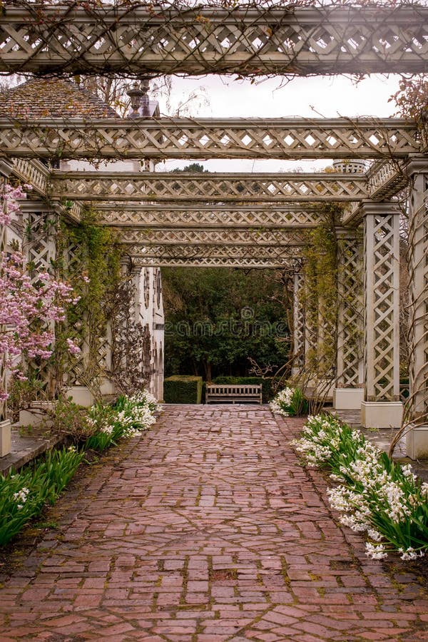Rose Arch in the English Style Botanic Garden Stock Image - Image of ...