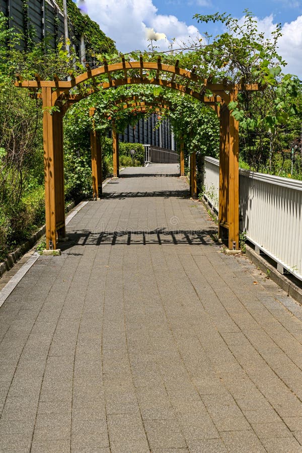 252 Beautiful Green Vine Pathway Stock Photos - Free & Royalty-Free ...