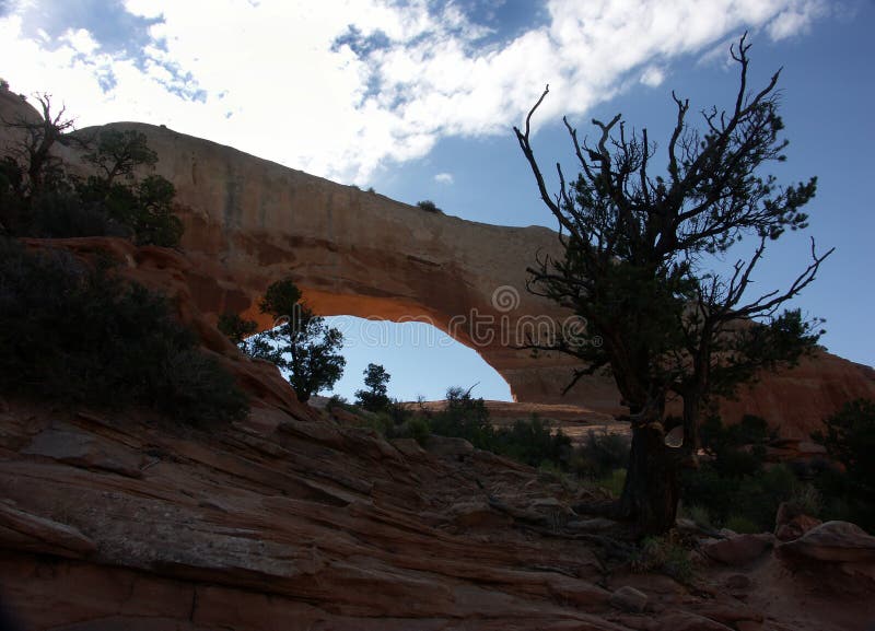 Arch Way Picture. Image: 1232608