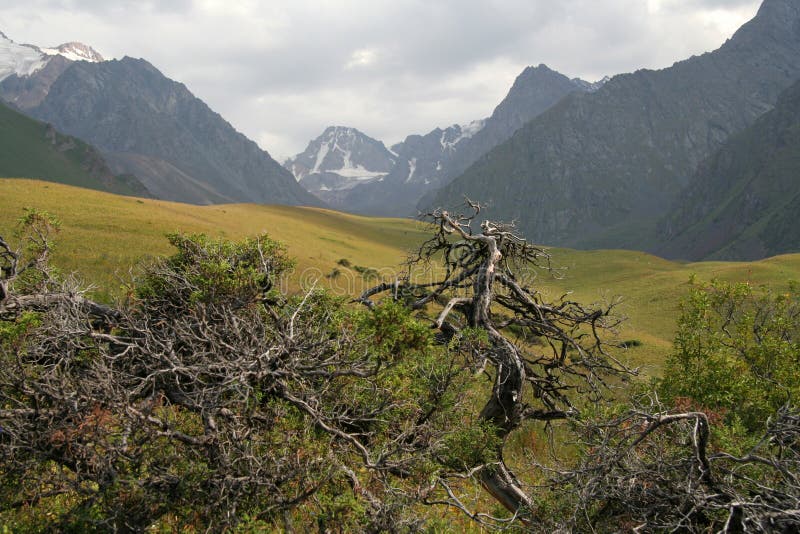 Archa stock photo. Image of bush, tourism, beautiful, rocky - 1351126