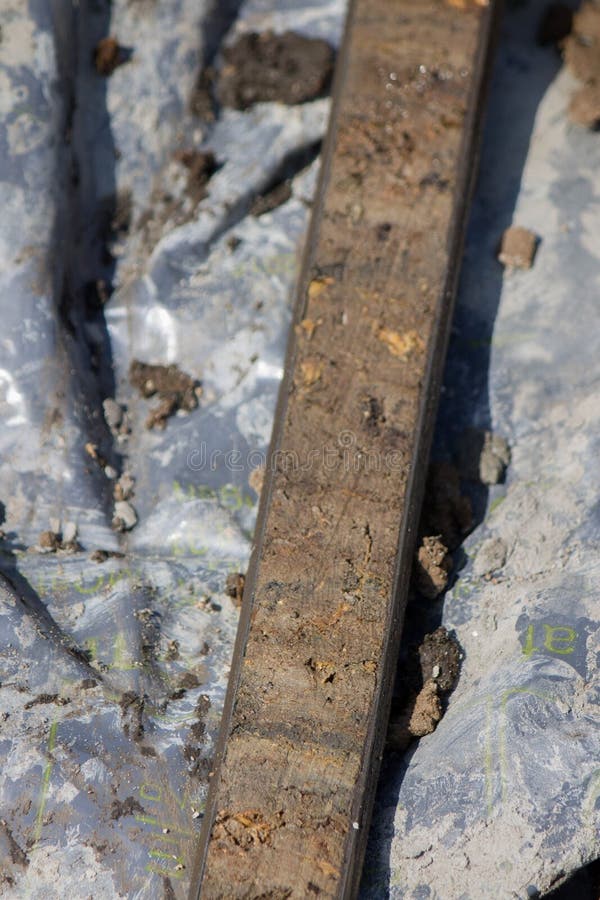 Core filled with Peat stock photo. Image of earthworks - 99782064
