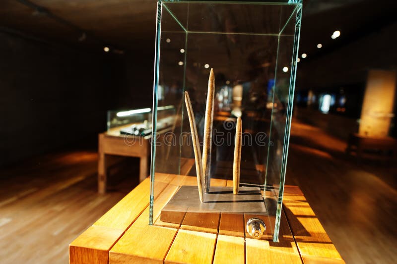 Archaeological Items Put on Display Inside Museum Editorial Stock Image ...