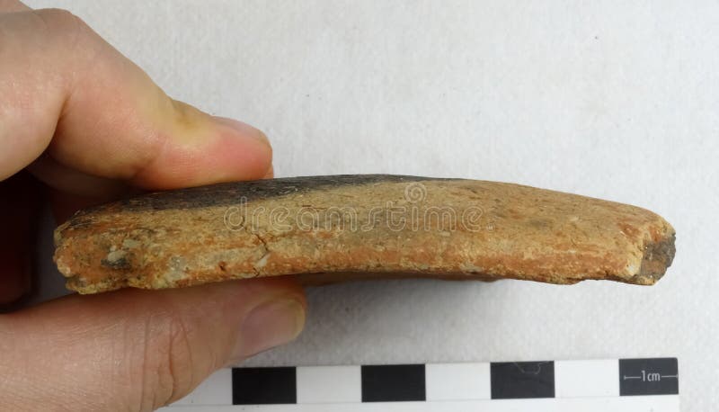 Archaeological Pottery Sherd. Stock Photo - Image of classification ...