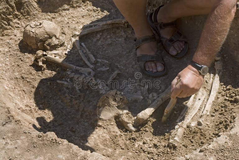 Archaeologist Excavating Skeleton Stock Image - Image of journey ...