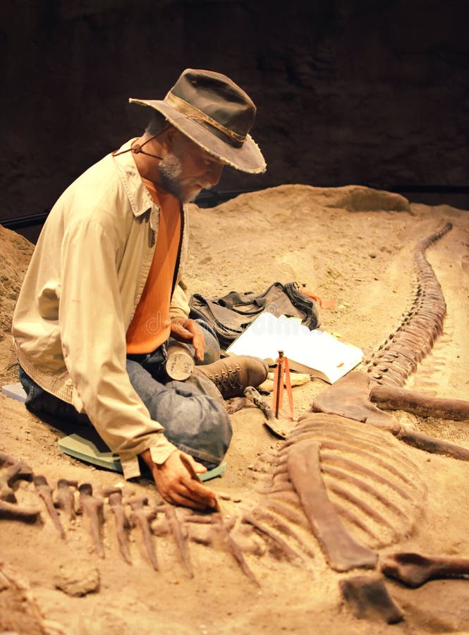 93+ Archaeologist Free Stock Photos - StockFreeImages