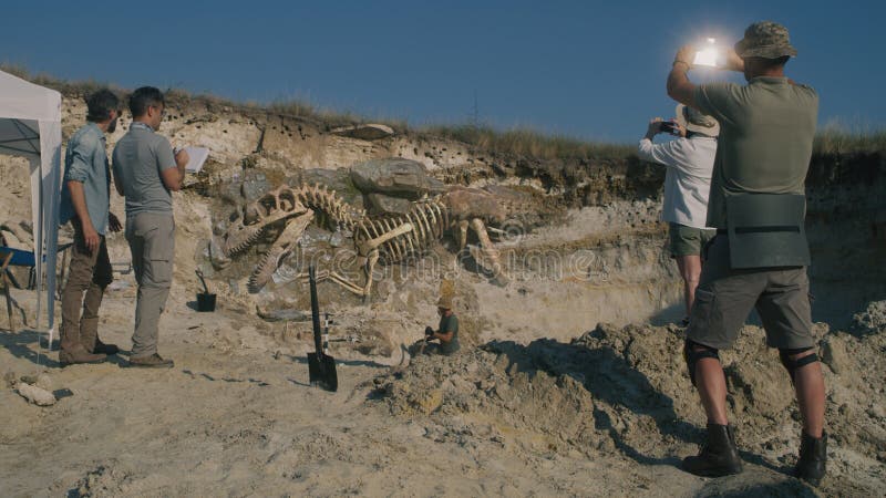 Archaeologists Working on Digging Site Stock Photo - Image of scientist ...