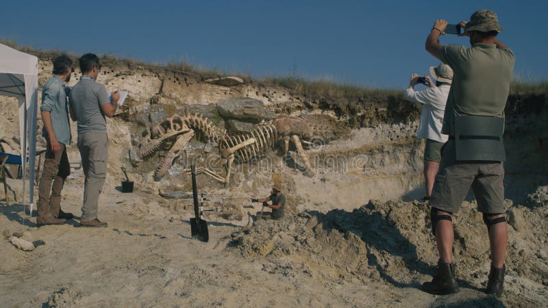 Archaeologists Working on Digging Site Stock Image - Image of ...