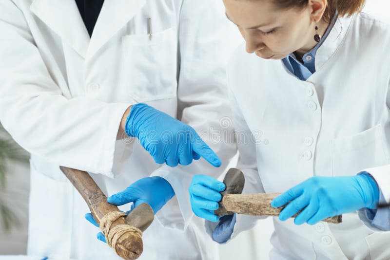 Archaeology Researcher Reconstructing Ancient Tool Stock Photo - Image ...