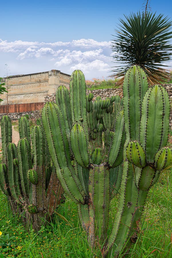 Archeaological Site of Mitla, in Oaxaca, Mexico Stock Image - Image of ...
