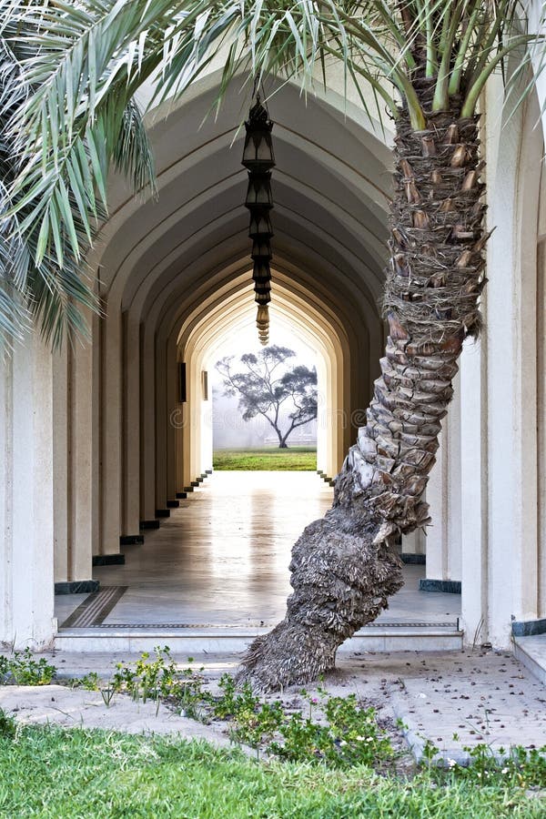 Arched Hallway Picture. Image: 21064273