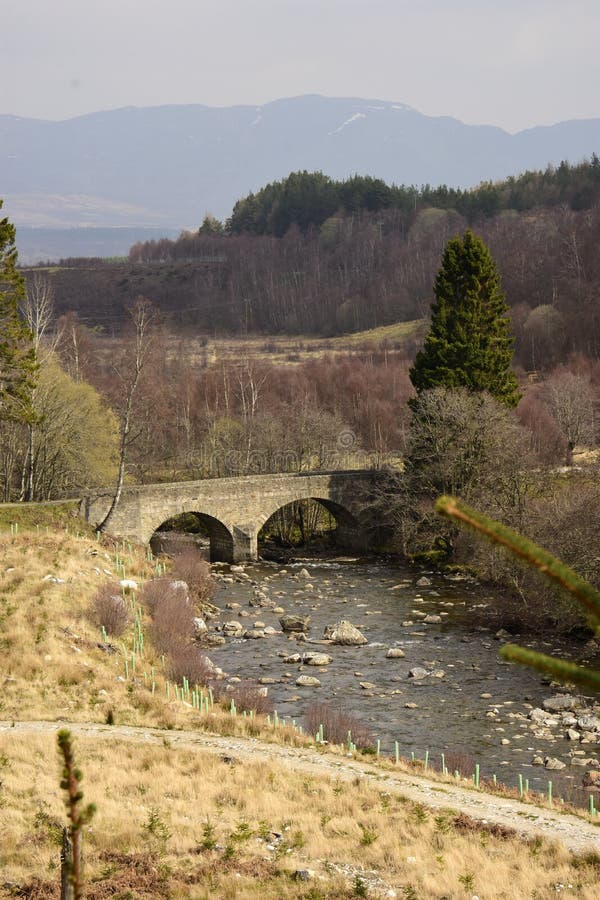 Arched stone block bridge stock photo. Image of wild - 178750844