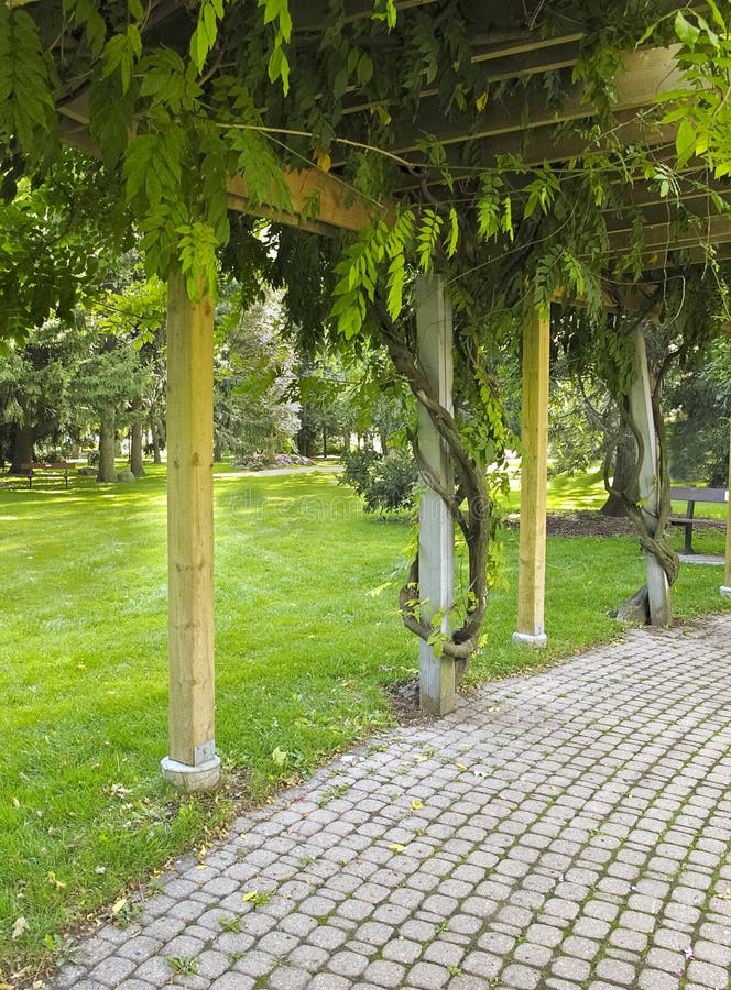 Arched Walkway stock photo. Image of flowers, patio, gardens - 16124808