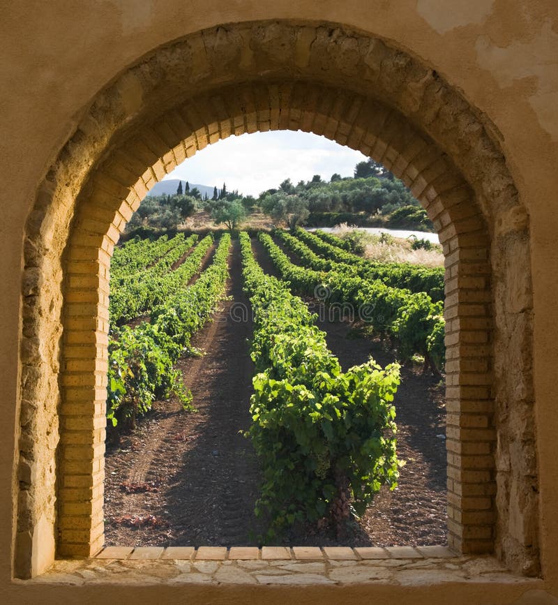 Arched Window on the Vineyard Stock Photo - Image of farming, idyllic ...