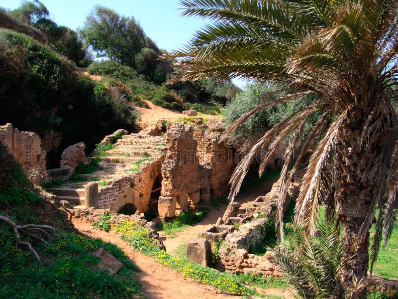 Ruins Of Tipasa(Tipaza).The Antic City Was A Colonia In Roman Province ...