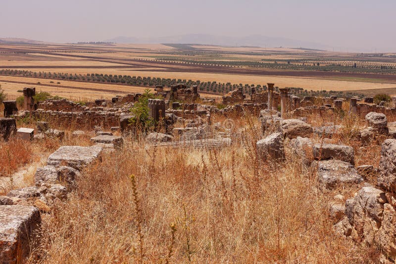 Archeologist Site Field in Volubilis City in Morocco. Stock Image ...