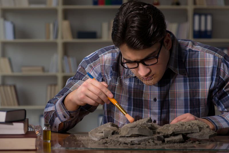 The Archeologist Working Late Night in Office Stock Photo - Image of ...