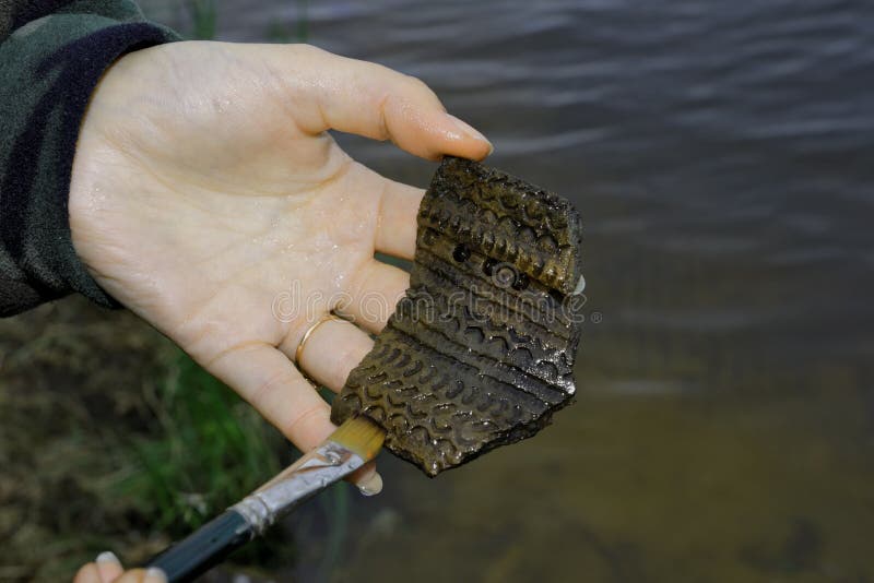 Ancient Hand Washing Pot Stock Photos - Free & Royalty-Free Stock ...