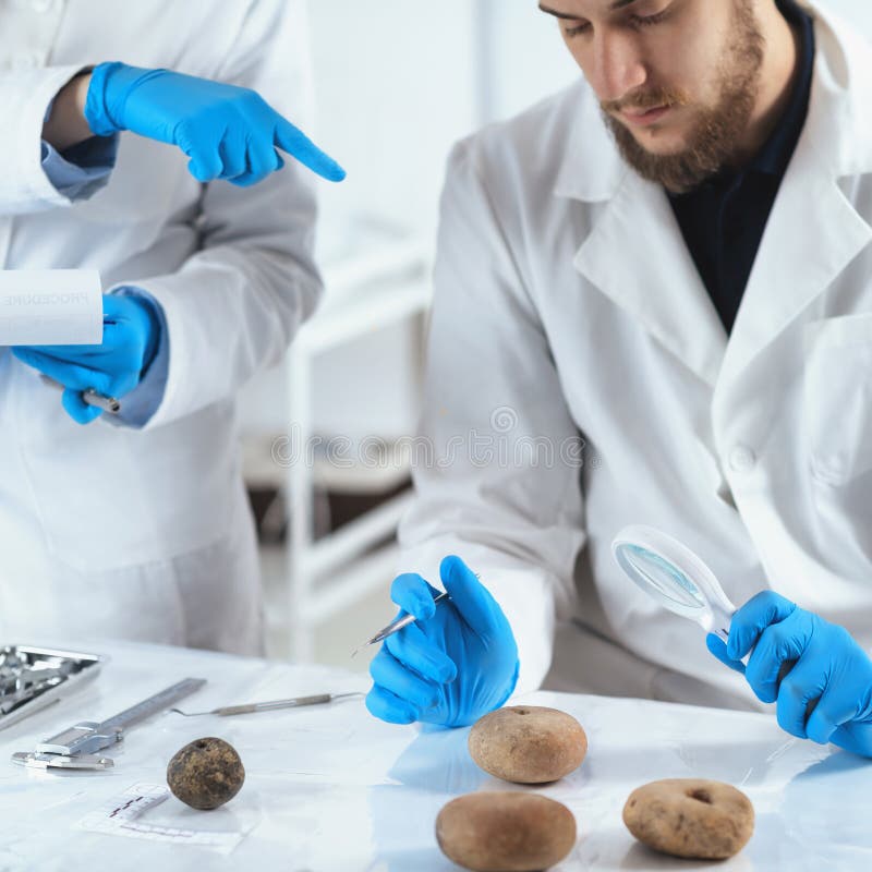 Archeology Scientists Analyzing Ancient Weight in Laboratory Stock ...