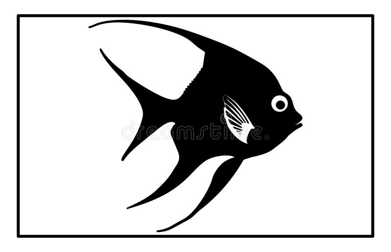 Archer Fish Isolated on White Background. Archerfish Unique Silhouette ...