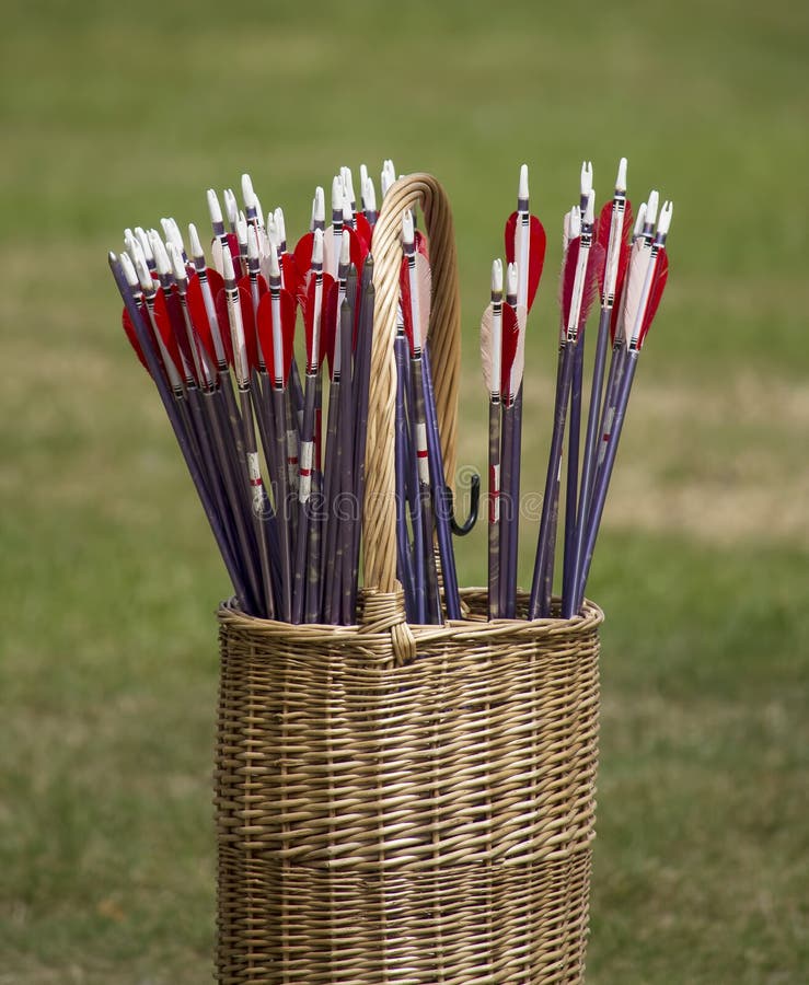 Archery arrows stock image. Image of wood, bunch, arrows - 49515765