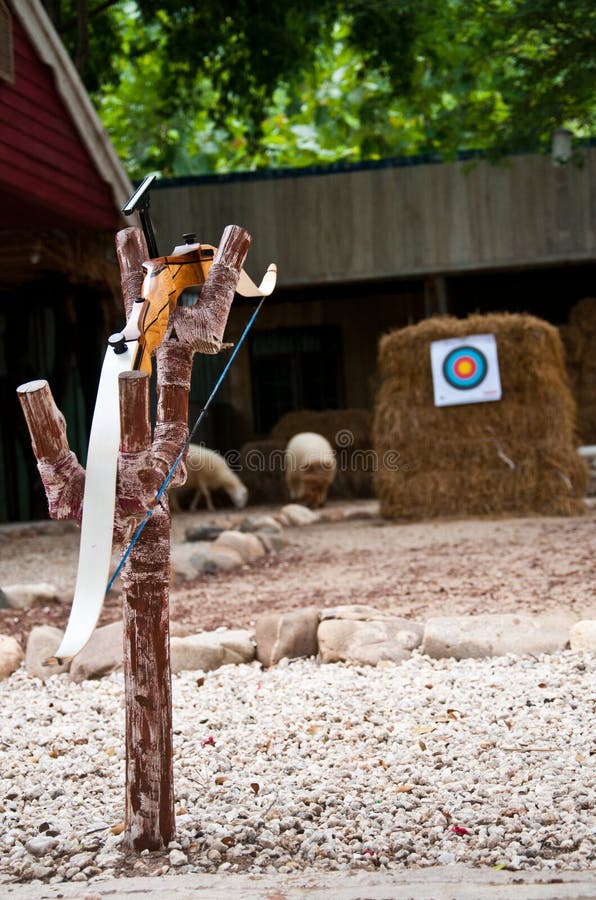 Tree Stump Target with Axe stock photo. Image of targets - 21516030