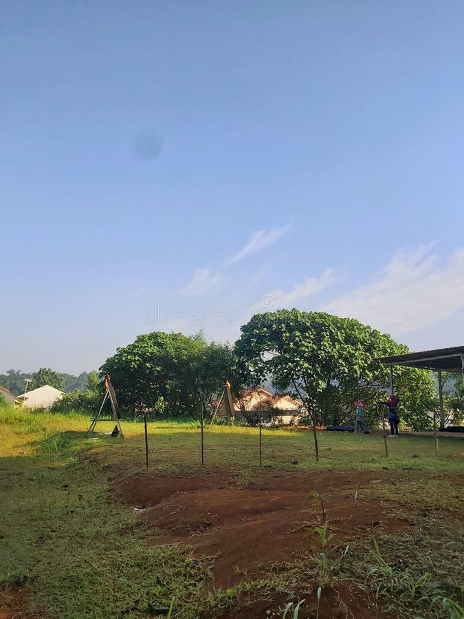 Archery Field with Arrows Hitting Aims Stock Image - Image of mastering ...