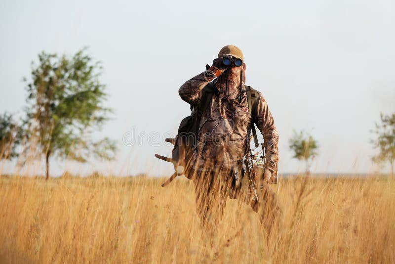 Archery Hunter Scouting for His Next Target. Stock Photo - Image of ...