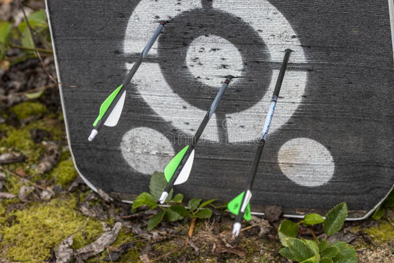 An Archery Target with Arrows in it Editorial Image - Image of isolated ...