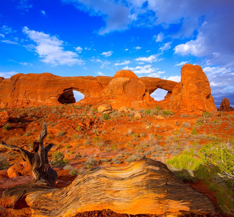 Arches National Park in Moab Utah USA Stock Photo - Image of moab ...