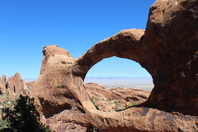 Arches National Park, Utah 2018 Stock Image - Image of animal, park ...