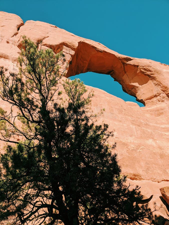 Arches in the Summer stock image. Image of summer, arches - 199281307