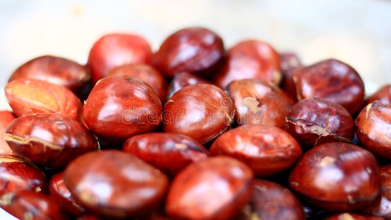 Jengkol (Archidendron Pauciflorum) Dogfruit Ngapi Nut. Stock Photo ...