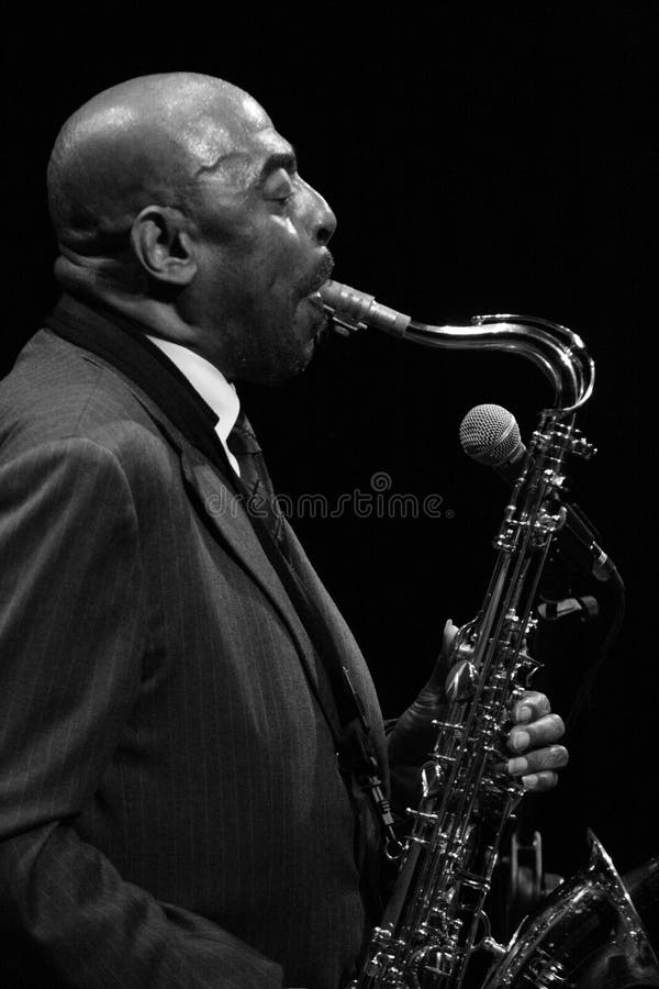 Archie Sheep editorial stock photo. Image of singer, sheep - 4287778