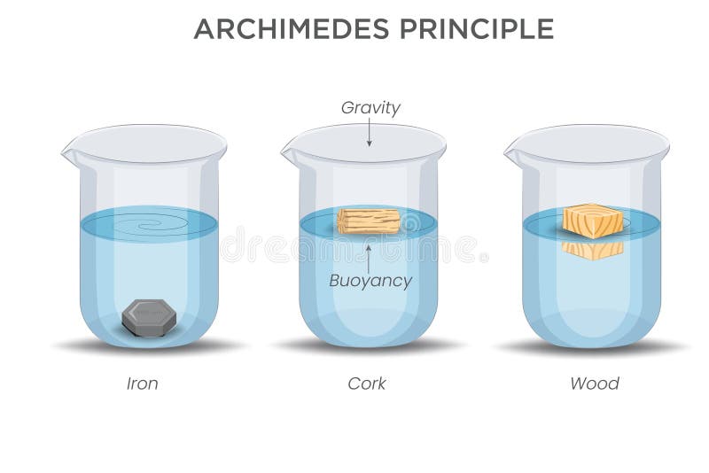 Archimedes Principle Buoyant Force and Fluid Displacement Stock Vector ...