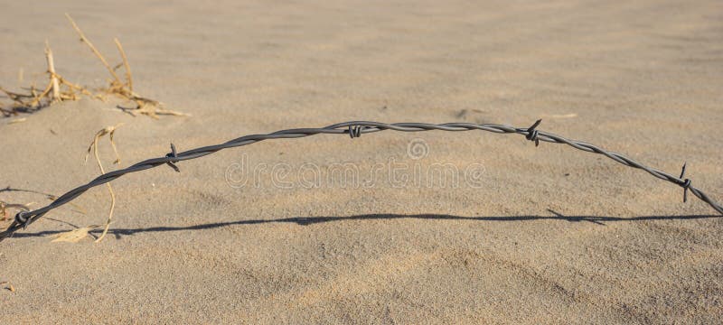 Arching Strand of Barbed Wire Stock Photo - Image of ranch, desert ...