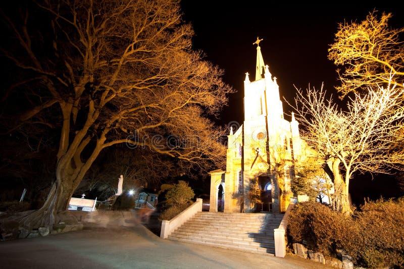 Architect stock photo. Image of night, chestnut, building - 82422498