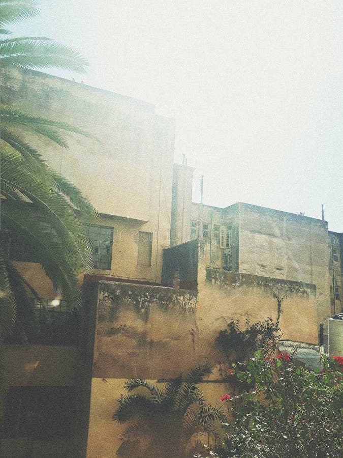 Architect stock photo. Image of architecture, flower - 165589176