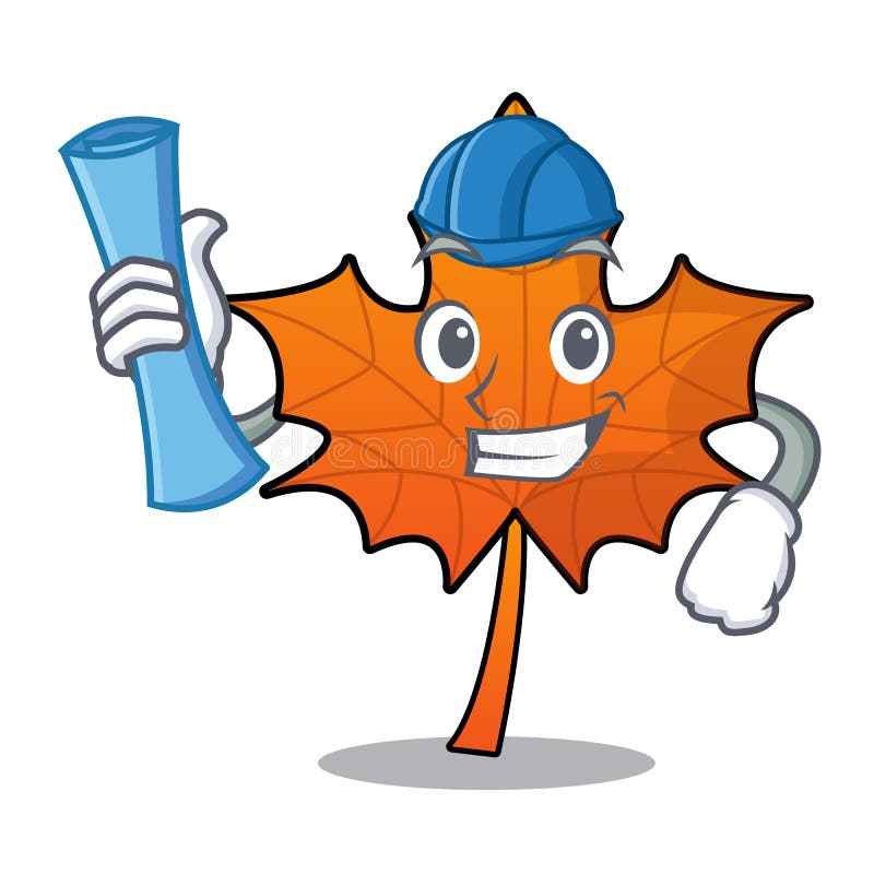 Architect Red Maple Leaf Character Cartoon Stock Vector - Illustration ...