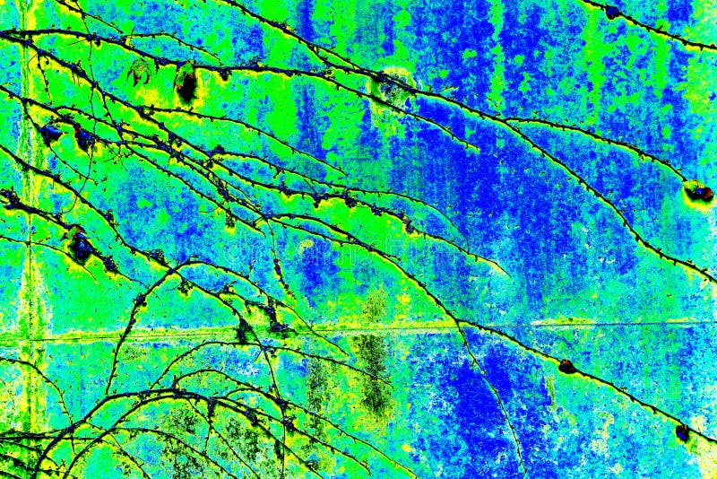 Architectural Background: Plant Climbing in Winter - Bare Stems, Copy ...