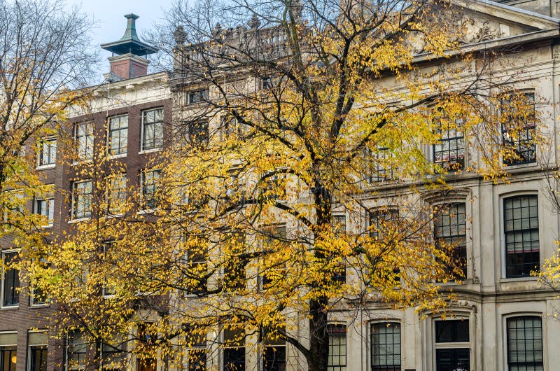 Architectural Detail in Amsterdam, the Netherlands Stock Image - Image ...