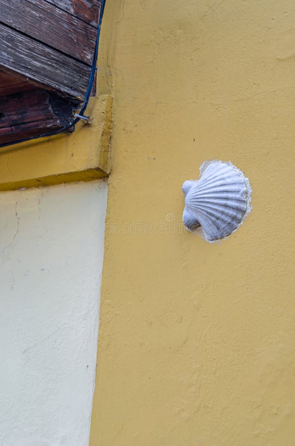Architectural Detail, Shell on a Wall Stock Image - Image of texture ...