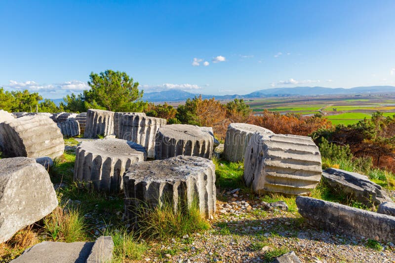 Architectural Elements and Parts of Columns of Temple of Athena in ...