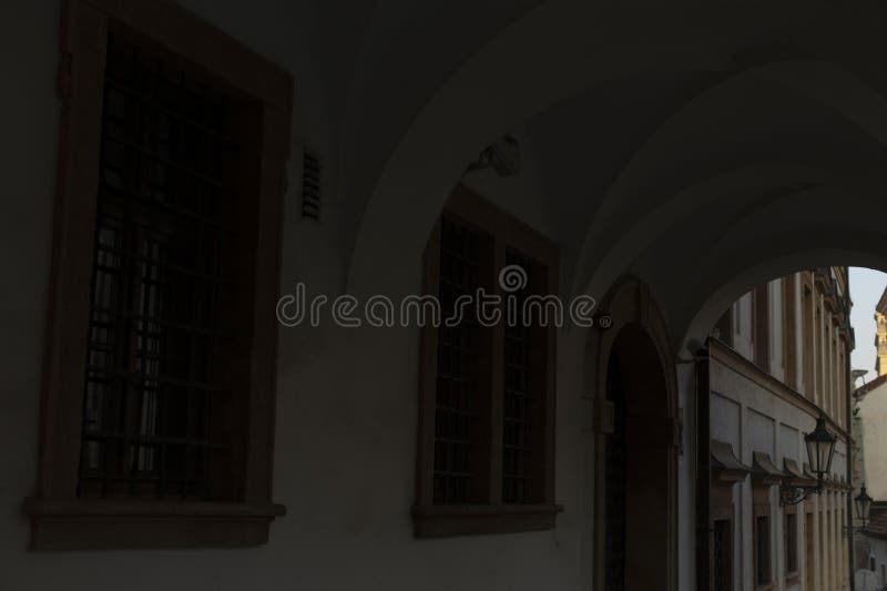 An Architectural Passageway with a Beautiful Arched Ceiling and Windows ...