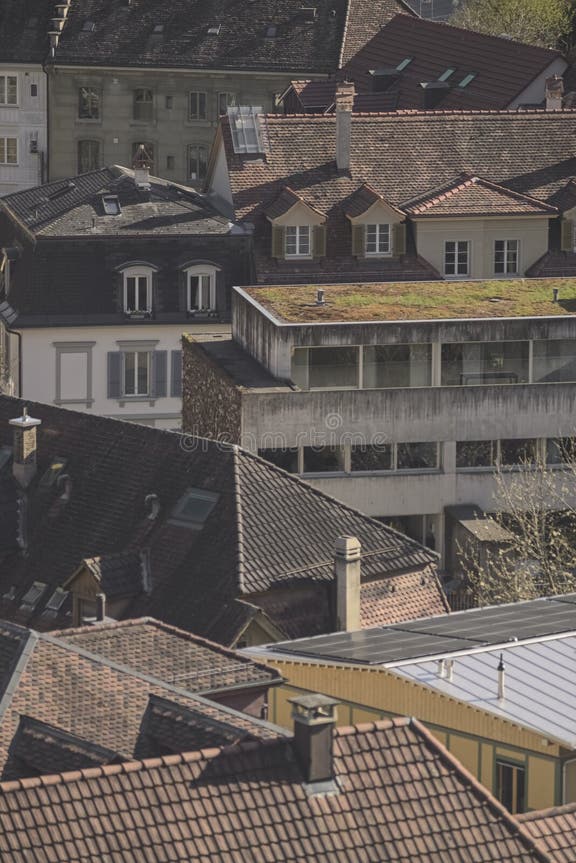 Architectural Rooftops in Bern S Old Town Blending Tradition, Greenery ...