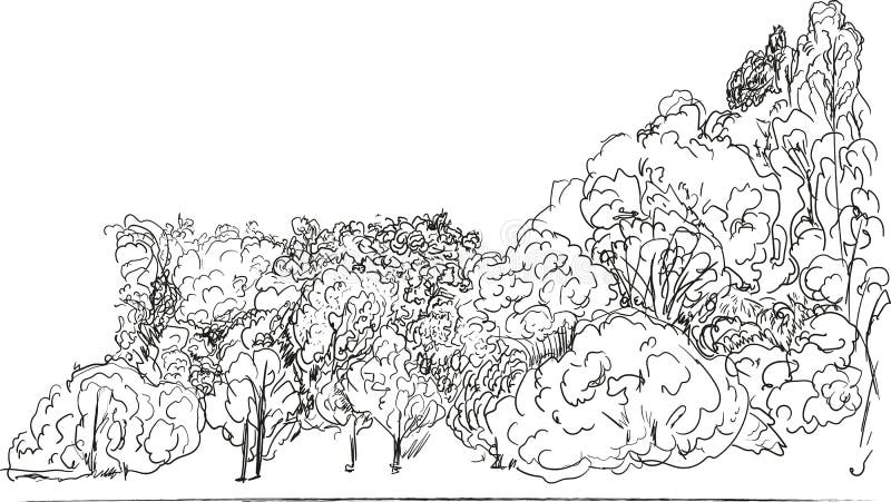 Architectural Style Sketch of Trees and Bushes Stock Vector ...