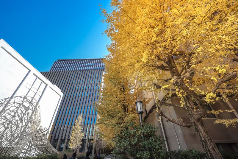 The Architectural View of a Modern Building Waseda University SDec 6 ...