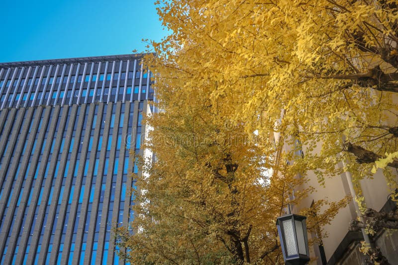 The Architectural View of a Modern Building Waseda University SDec 6 ...