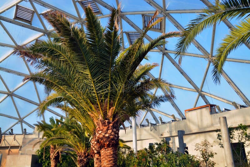 Architecture of the Biodom in the Budapest Zoo Editorial Photography ...